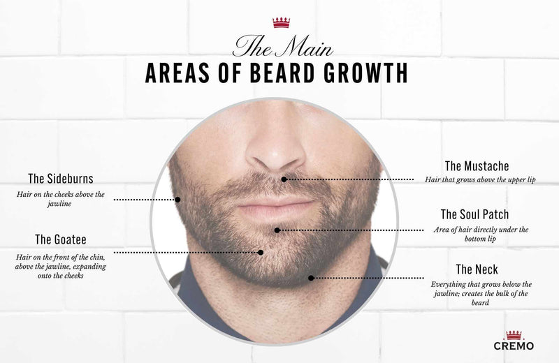 The Science Behind Beard Growth and How to Promote It - Bearded Pleasures